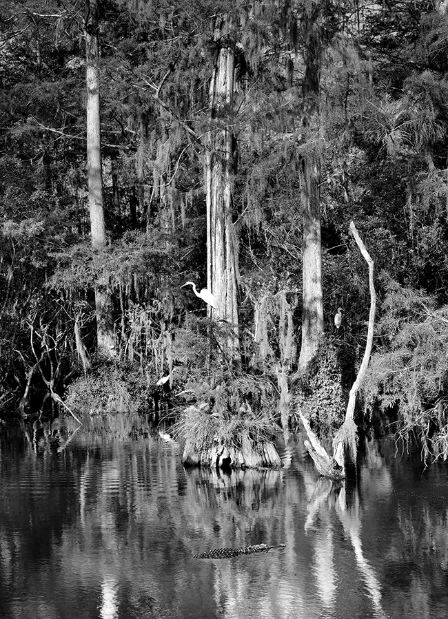 Clyde Butcher Exhibition